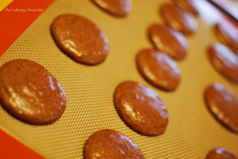 French Macarons…..The Holy Grail of Pastries